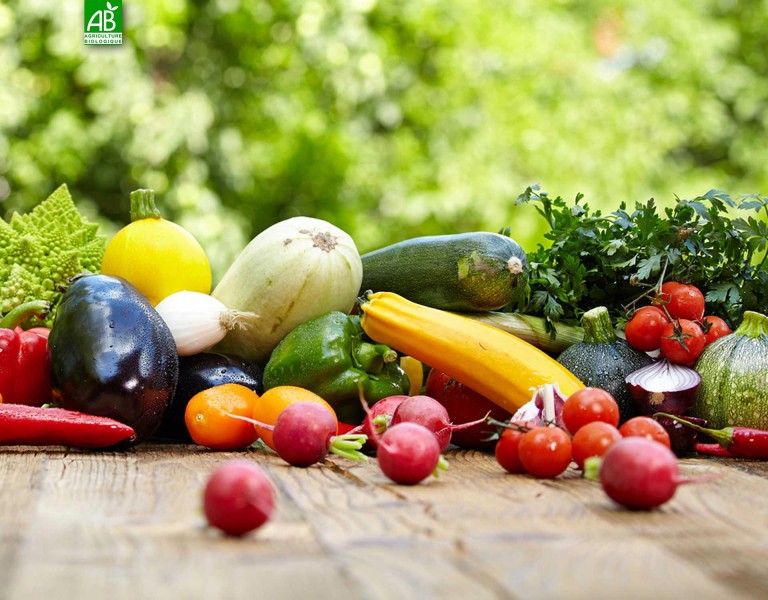 legumes_potager - Les Cocottes de Clarisse